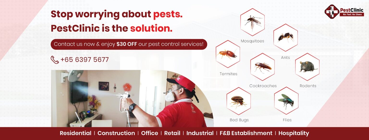 Singapore’s Best Pest Control Services | Affordable Price